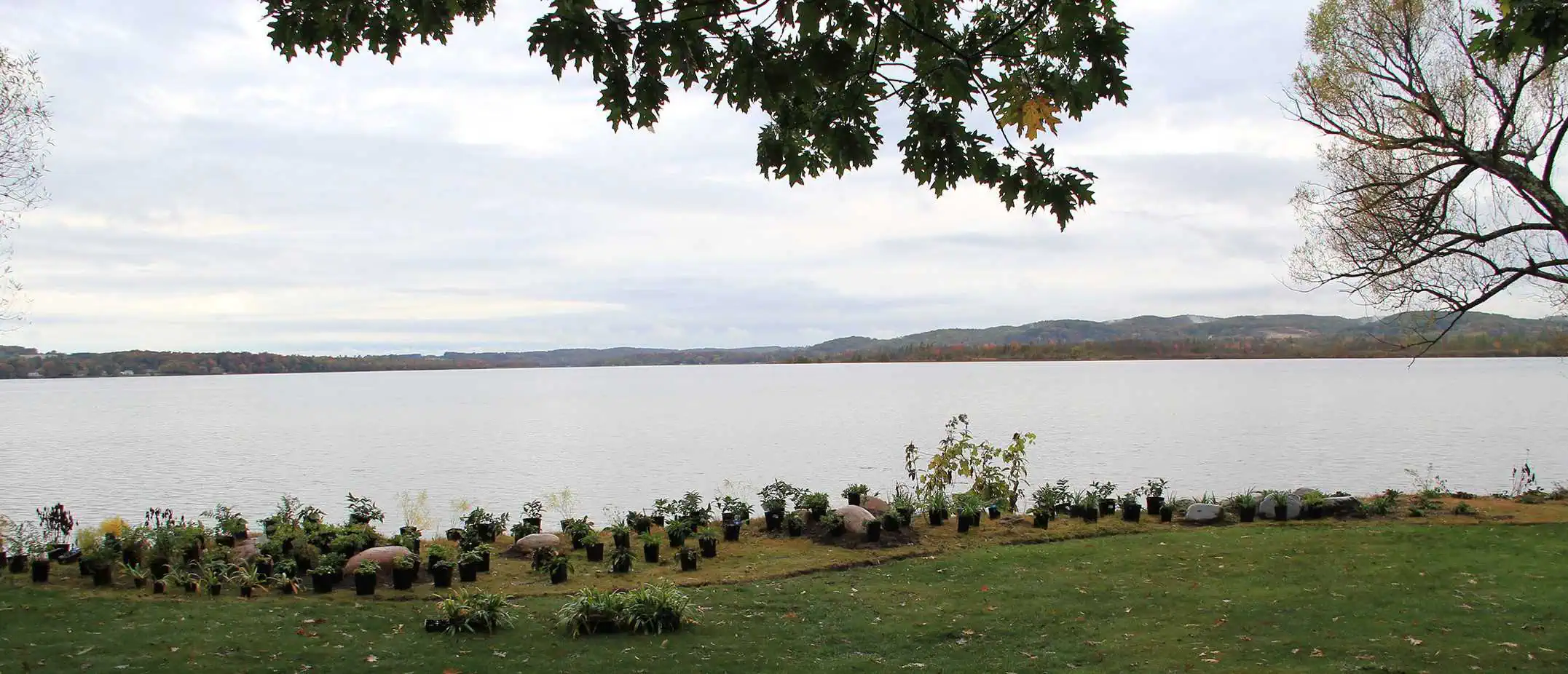 Lake Bellaire - Tip of the Mitt Watershed Council