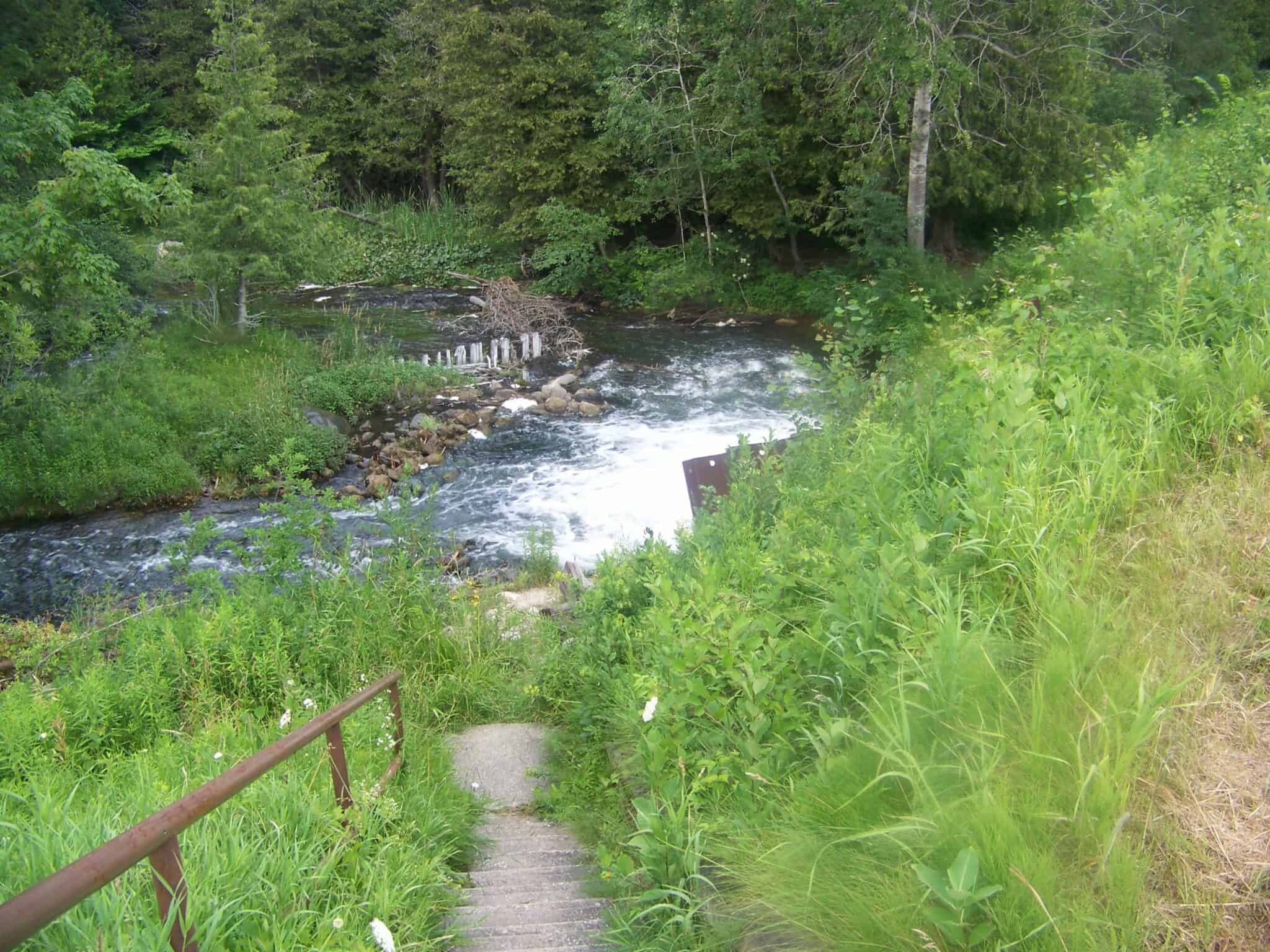 Rivers & Streams - Tip of the Mitt Watershed Council