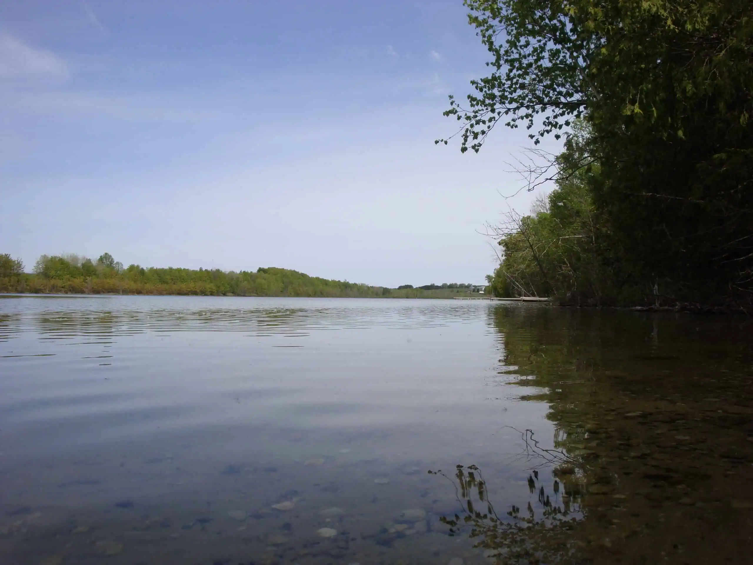 Marion Lake - Tip of the Mitt Watershed Council