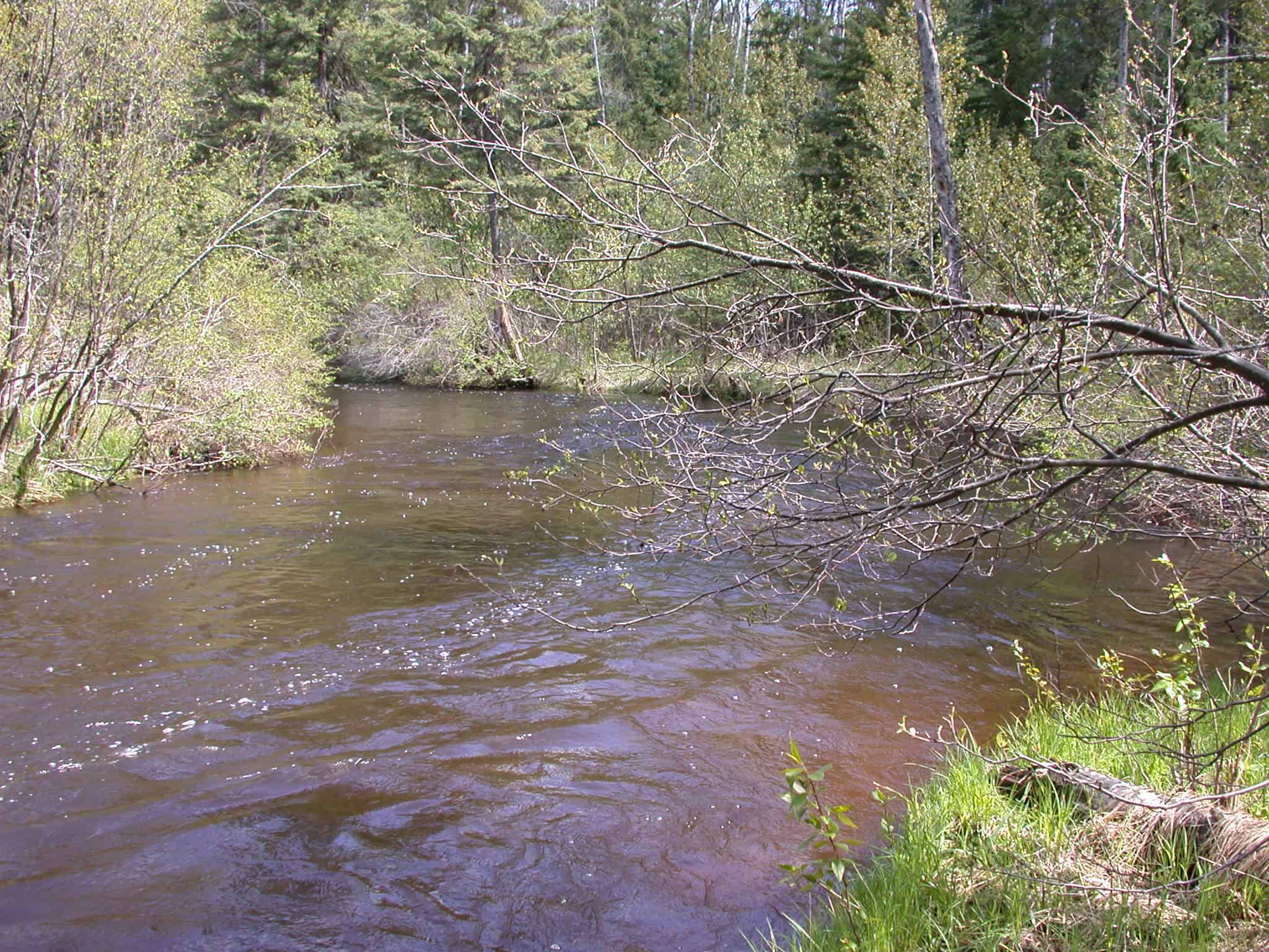 Rivers & Streams - Tip of the Mitt Watershed Council