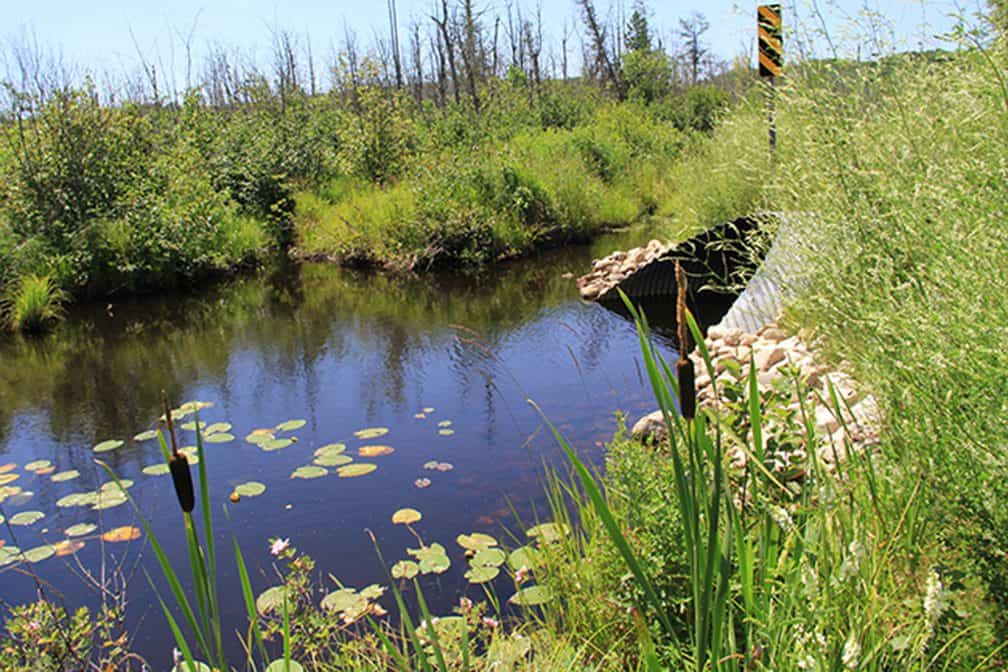 Holms Road Stream Restoration - Tip of the Mitt Watershed Council