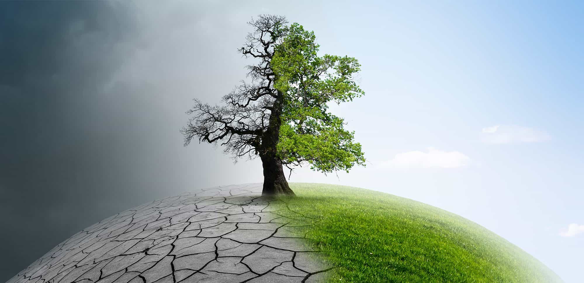 Climate Change - Tip of the Mitt Watershed Council